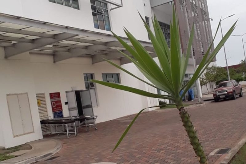 Aún buscan cuerpos en el Hospital Guasmo Sur de Guayaquil