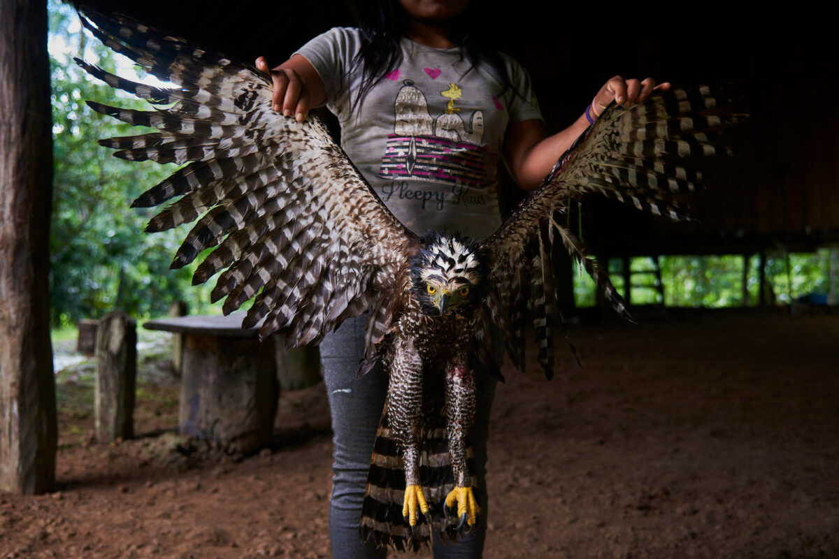 Naruka, la pesadilla sapara