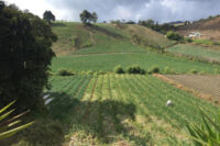 El tratado de libre comercio con Costa Rica, explicado