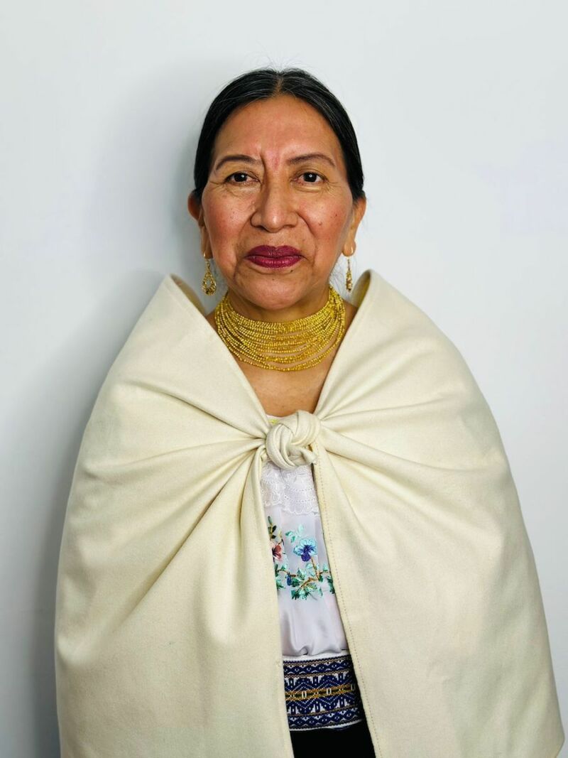 Estas son las candidatas a la vicepresidencia para las elecciones de 2023